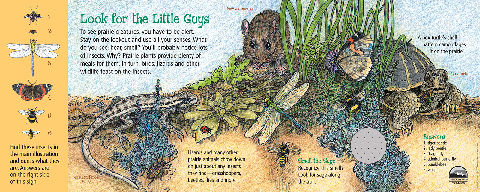 Other Interpretive Designs - ECOS Communications