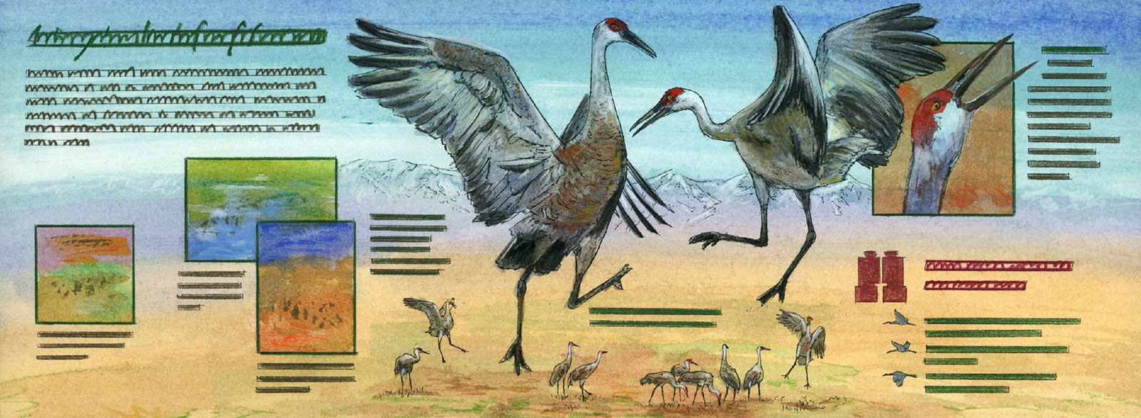 Other Interpretive Designs - ECOS Communications