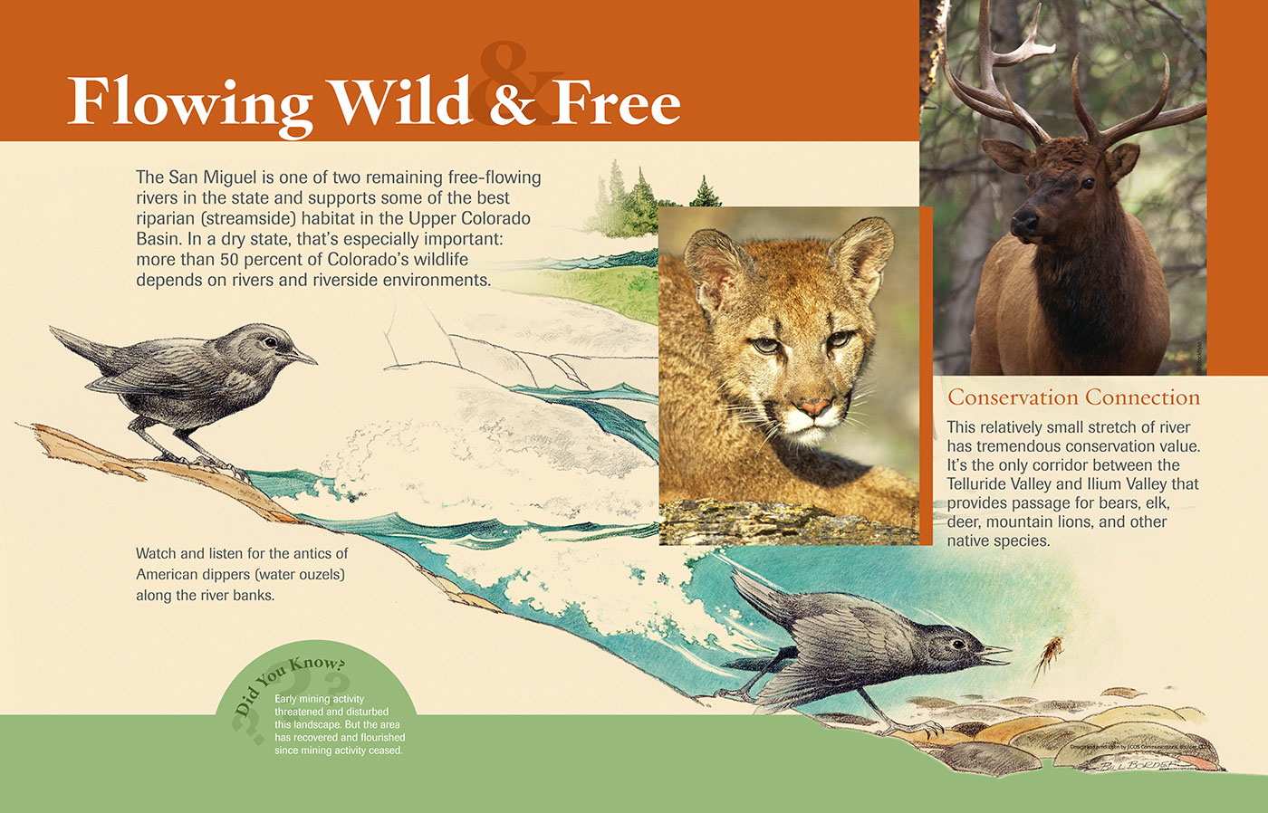 Other Interpretive Designs - ECOS Communications