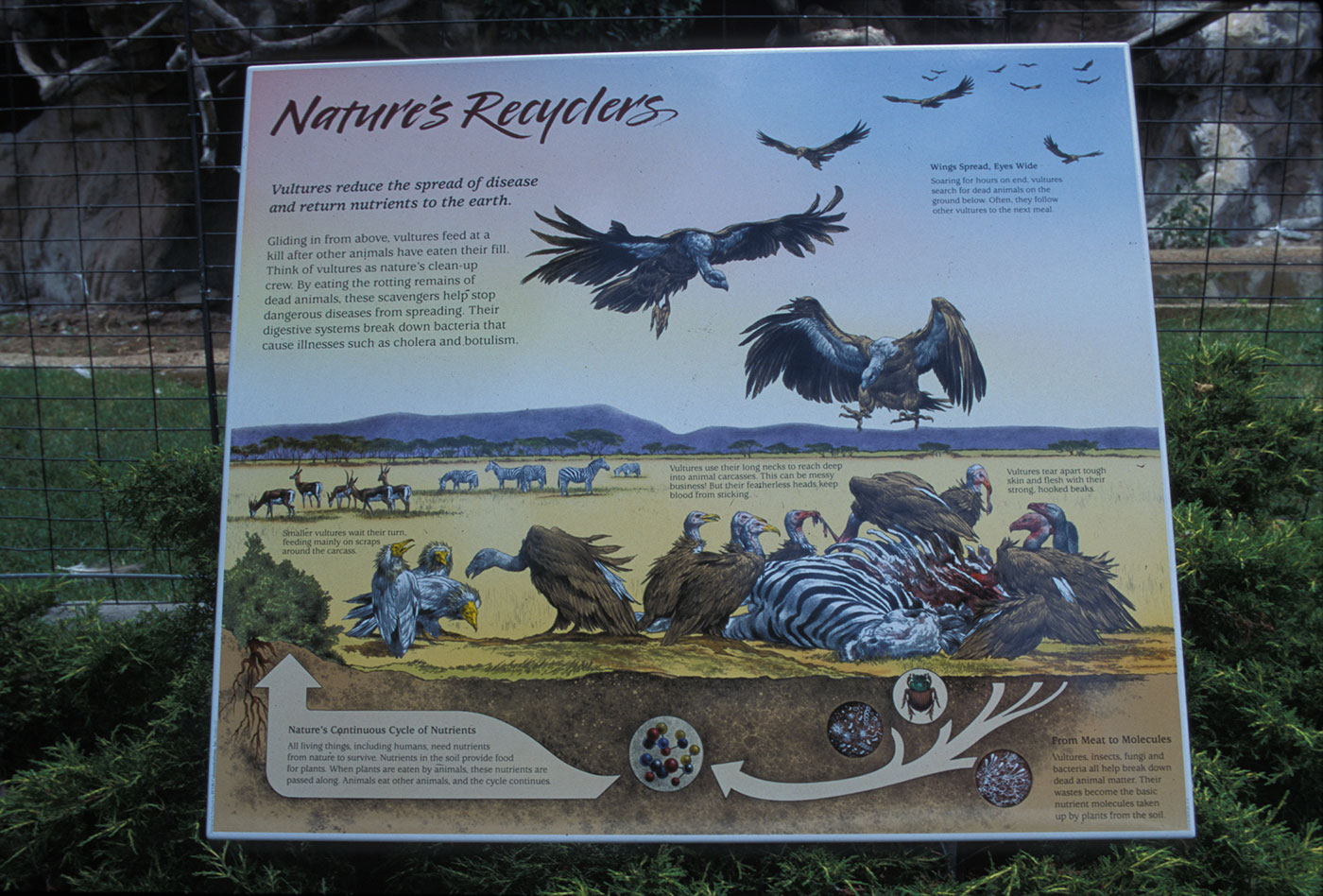 Other Interpretive Designs - ECOS Communications