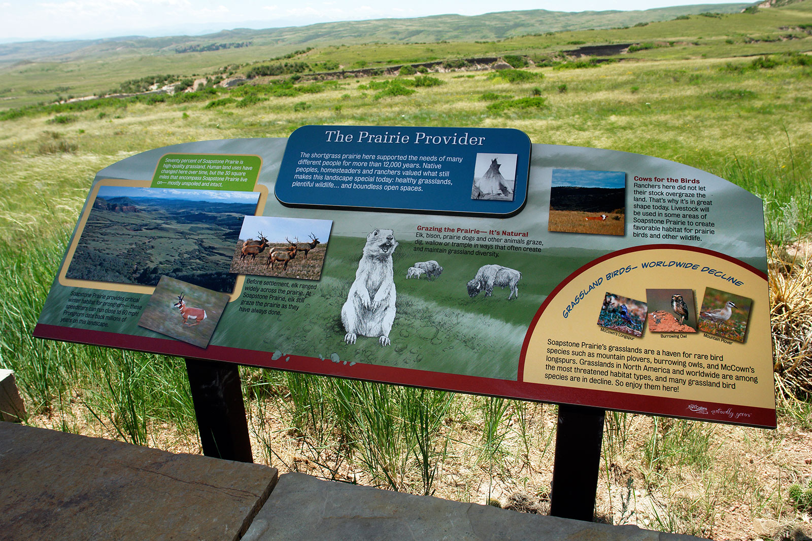 Other Interpretive Designs - ECOS Communications