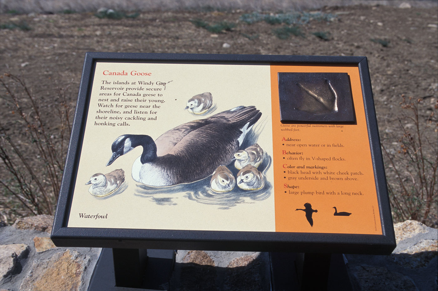 Other Interpretive Designs - ECOS Communications